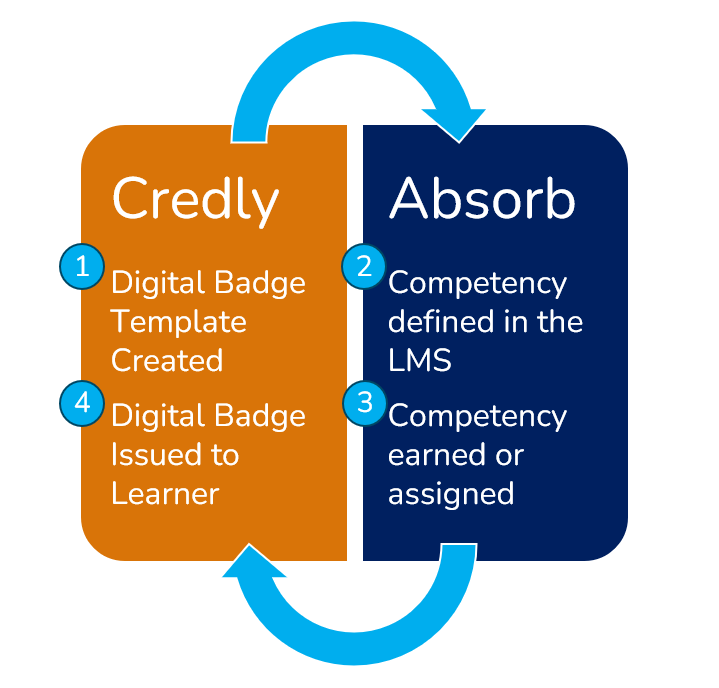 Q3 2024 Release Notes – Absorb Help Center